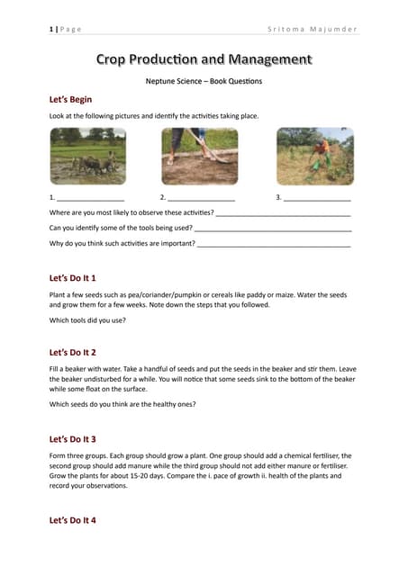 CO grade6 science sifting and sieving q1.pptx