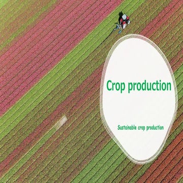 Sustainable Crop production- | PDF