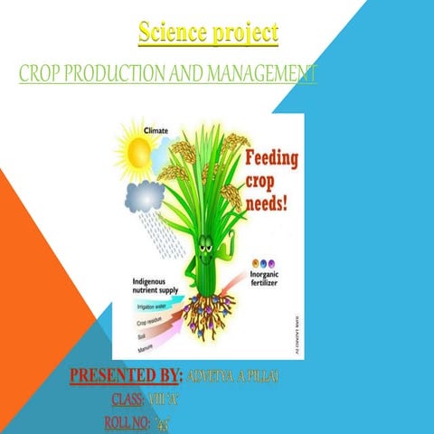 Crop production and management | PPT