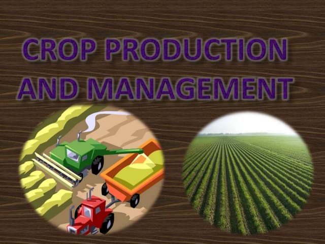 Basic practices of crop production | PDF | Agriculture | Industries
