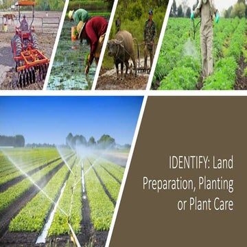 crop production quiz lesson 2.pptx