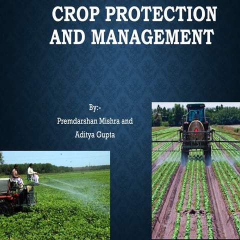 cropprotection-16hoh082508232nkbkbk6.pptx