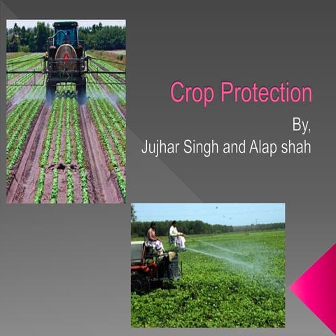 Crop protection | PPTX