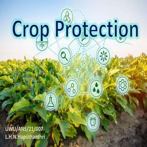 Crop protection and pest management and pesticides | PPTX