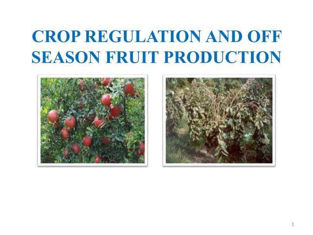 Planting system of fruit crops | PPTX