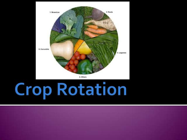 Crop Rotation | PPTX
