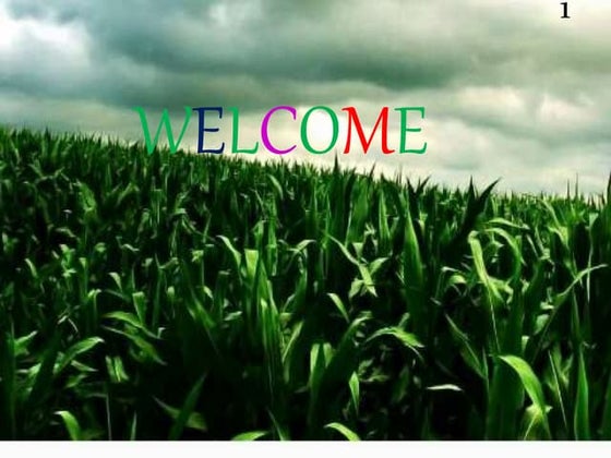 Crop rotation and its principle | PDF | Agriculture | Industries