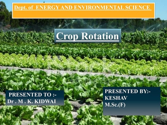 Multiple cropping systems | PPTX | Agriculture | Industries