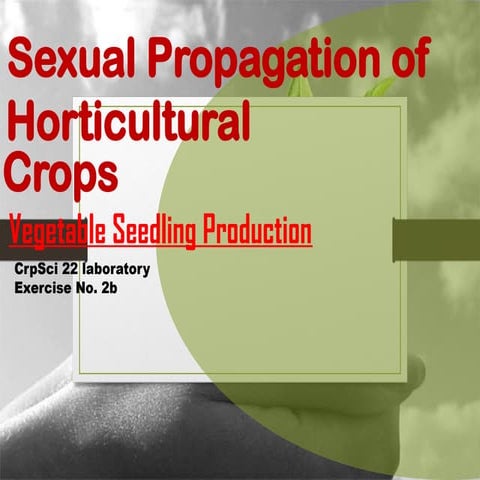 CccccccccccCropSscsssssssi-22-ex.2b.pptx