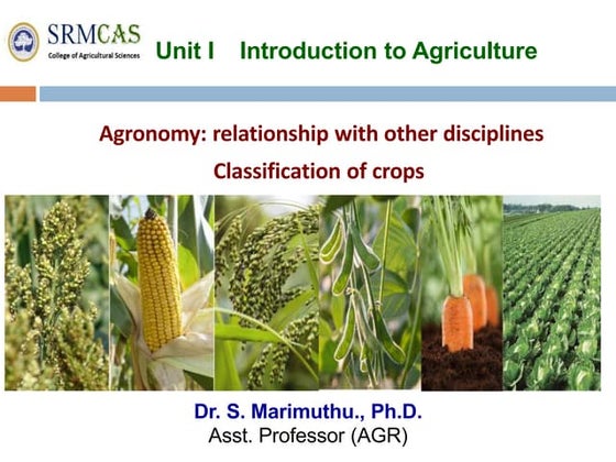 CLASSIFICATION OF CROP PLANTS - ONELINER.pdf