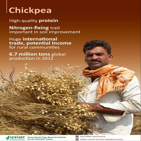 Crops poster chickpea 1 | PDF