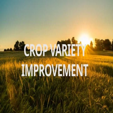 CROP VARIETY IMPROVEMENT .pptx