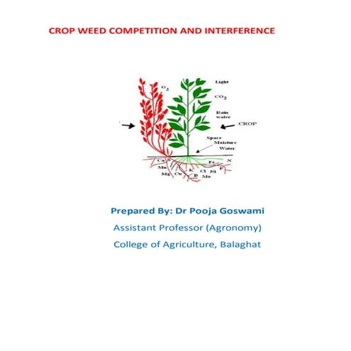 Crop weed competition and interference | DOCX