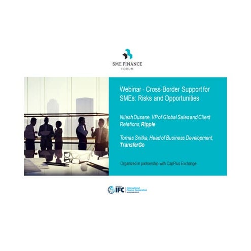 Cross border support for sm es-tomas snitka | PPT