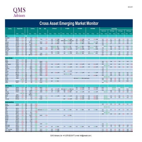 Cross Asset Emerging Market Monitor | PDF