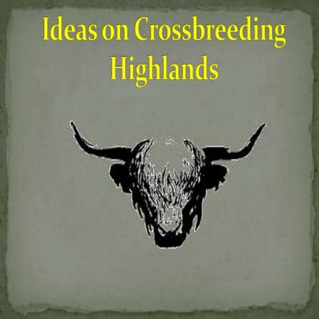 Crossbreeding presentation 3 | PPTX