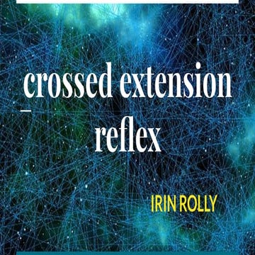 Crossed extention reflex | PDF
