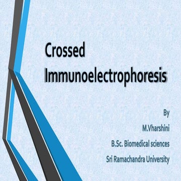 Immunoelectrophoresis | PPTX