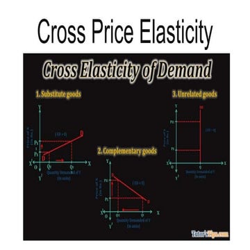 cross elasticity.pptx