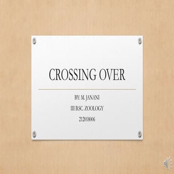 CROSSING OVER | PPTX