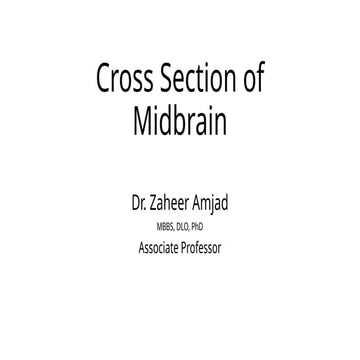 Cross Section of Mid-brain (Neuroanatomy).pptx