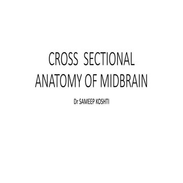 Midbrain anatomy and applied aspects- Dr Sameep Koshti (Consultant ...