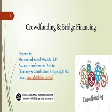 Crowdfunding & Bridge Financing theories and practice | PPTX