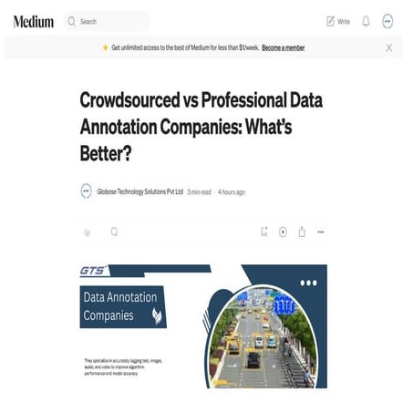 Crowdsourced vs Professional Data Annotation Companies What’s Better.pdf