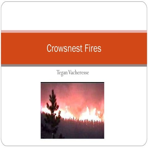 Crowsnest Fires | PPT