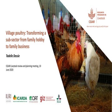 Village poultry: Transforming a sub-sector from family hobby to family ...