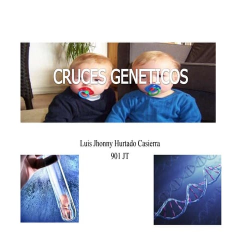 Cruces geneticos | PPTX