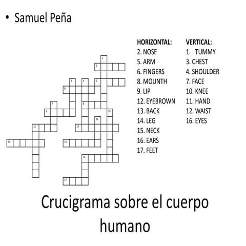 Crucigrama sobre el cuerpo humano | PPTX