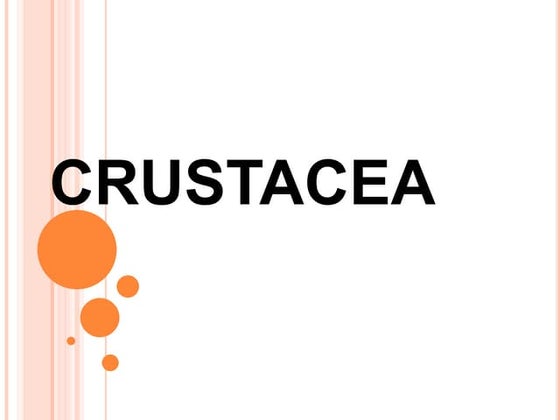 Materi morfolgi crustacea pertemuan 2.pptx