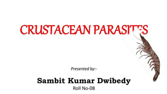 First report of Nereis (Neanthes) virens (Sars) an epitoky polychaete ...