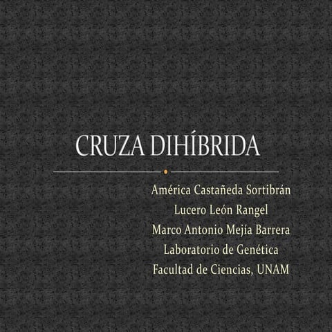 Cruza dihíbrida | PPTX