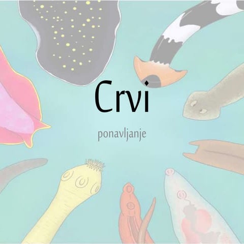 Crvi-ponavljanje | PPTX
