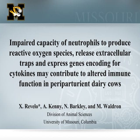 Crwad 2011 presentation revelo | PPT