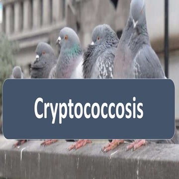 Cryptococcosis | PPTX