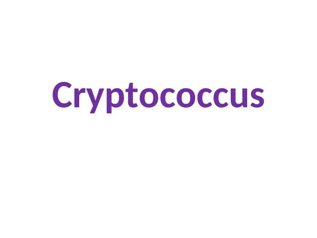 Cryptococcosis | PPT