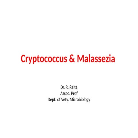 Cryptococcus and Malassezia of veterinary importance | PPTX