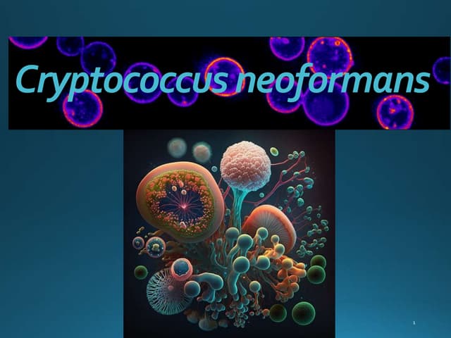 Cryptococcosis | PPT
