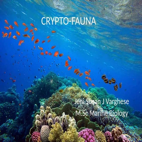 CRYPTOFAUNA OF MARINE ECOSYSTEM FOCUSED ON BENTHIC.pptx