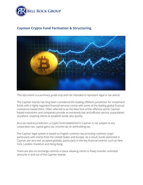 Forming a Cayman SPC - Cayman Fund Structuring | PDF | Stocks and Bonds ...