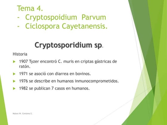 Bacteria providencia informe | PDF