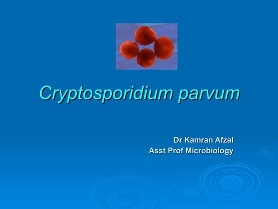 Cryptosporidium | PPTX | Medical Health