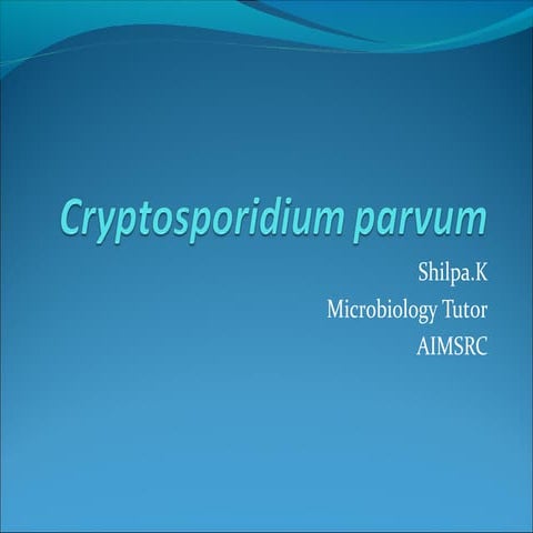 Cryptosporidium parvum | PPT