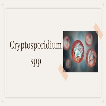 Cryptosporidium spp 2.pdf
