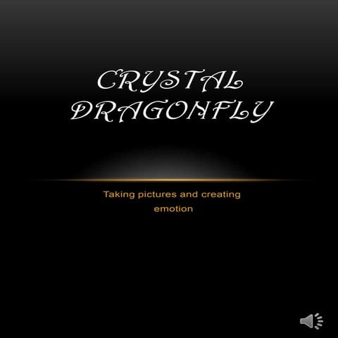 Crystal dragonfly | PPTX