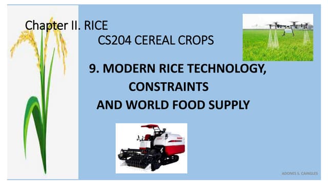 CS-204-Cereal-Crop.pptx CS-204-Cereal-Crop.pptx