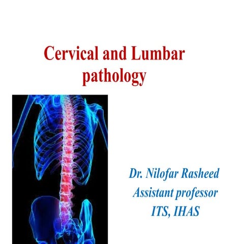 Cervical and Lumbar pathology.ppt Pathologies here can affect neck and ...